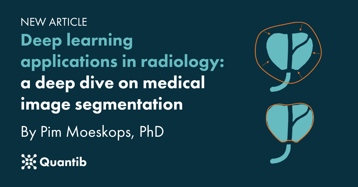 Artificial Intelligence in Healthcare & Radiology | Quantib