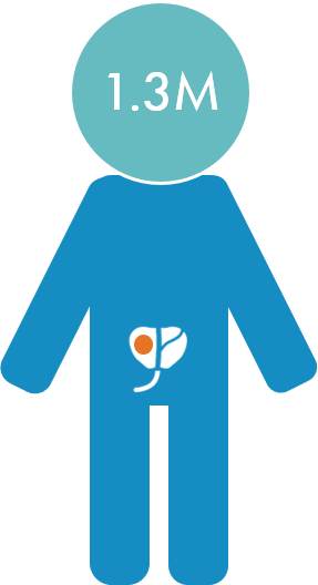 Prostate MRI Reading Software | Quantib® Prostate