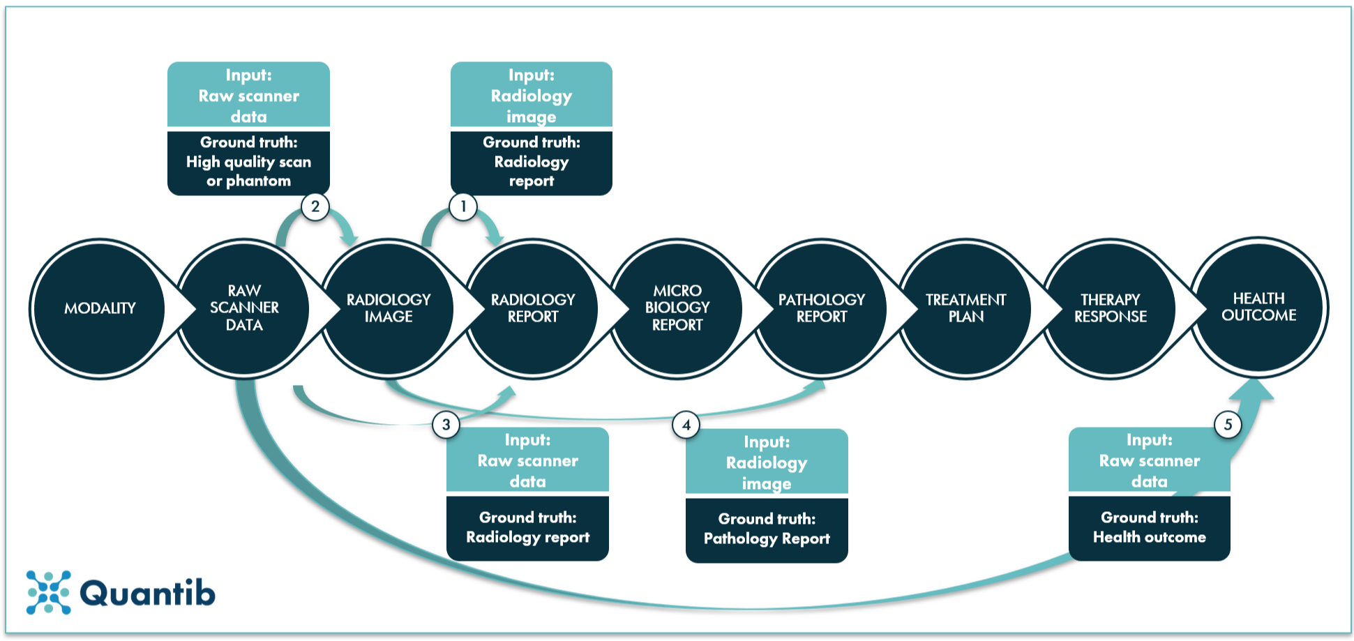 The ultimate guide to AI in radiology